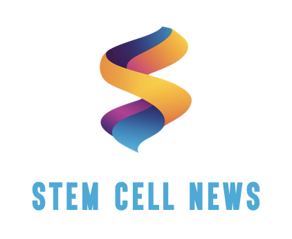 Muse Stem Cells: Hype, Science, and Regenerative Medicine - Stem Cell News